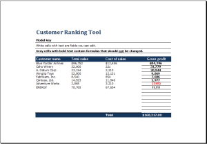 Customer Information & Ranking Tool Template for Excel