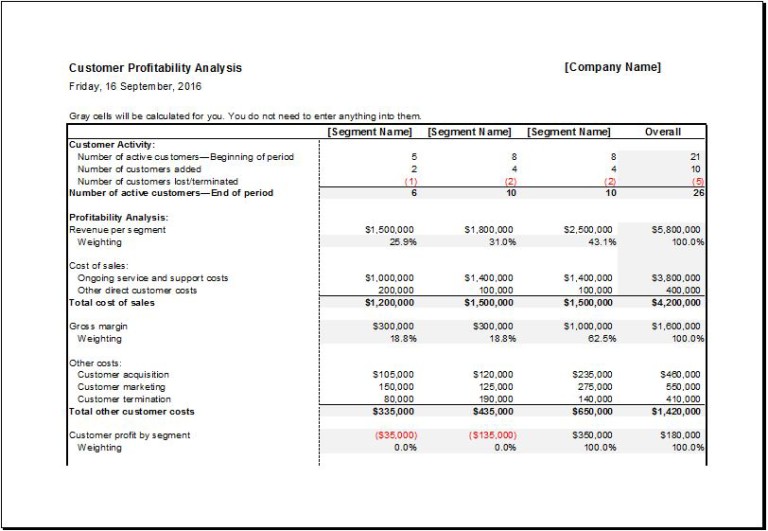 Customer Portfolio & Profitability Analysis Sheet | Save
