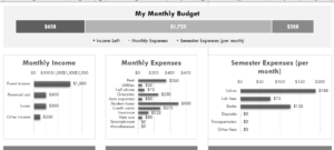 Academic Activity Budget Worksheet | Excel Templates